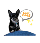 あざと可愛い俺たち。 | LINEスタンプ | MiiiiK