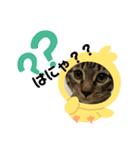 ロワ① | LINEスタンプ | Rowaの召使い